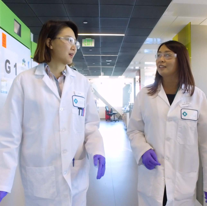 Tyrimai - MSD | Lithuania