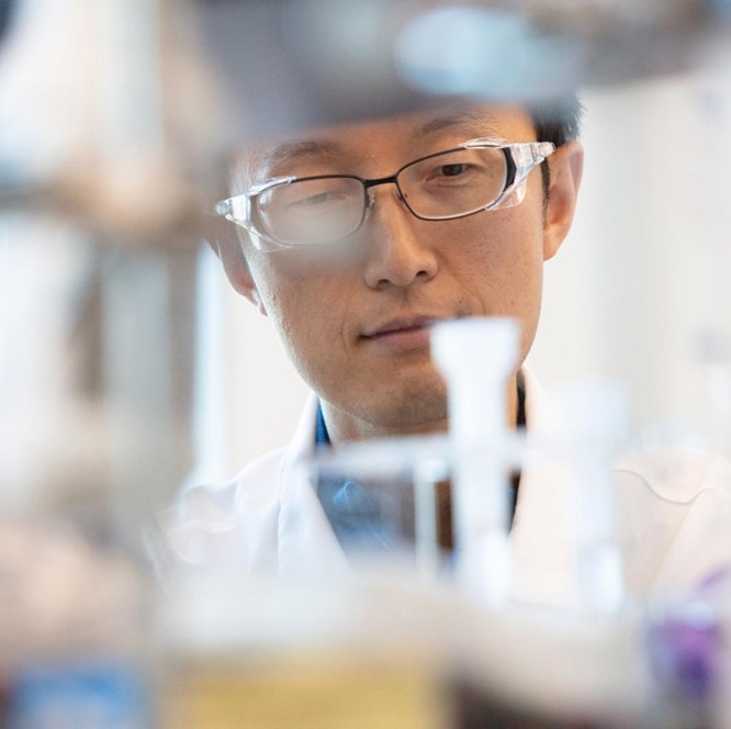 Bendrovė - MSD | Lithuania