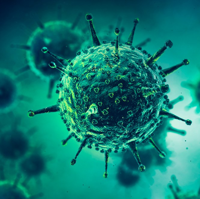 Infekcinės ligos - MSD | Lithuania